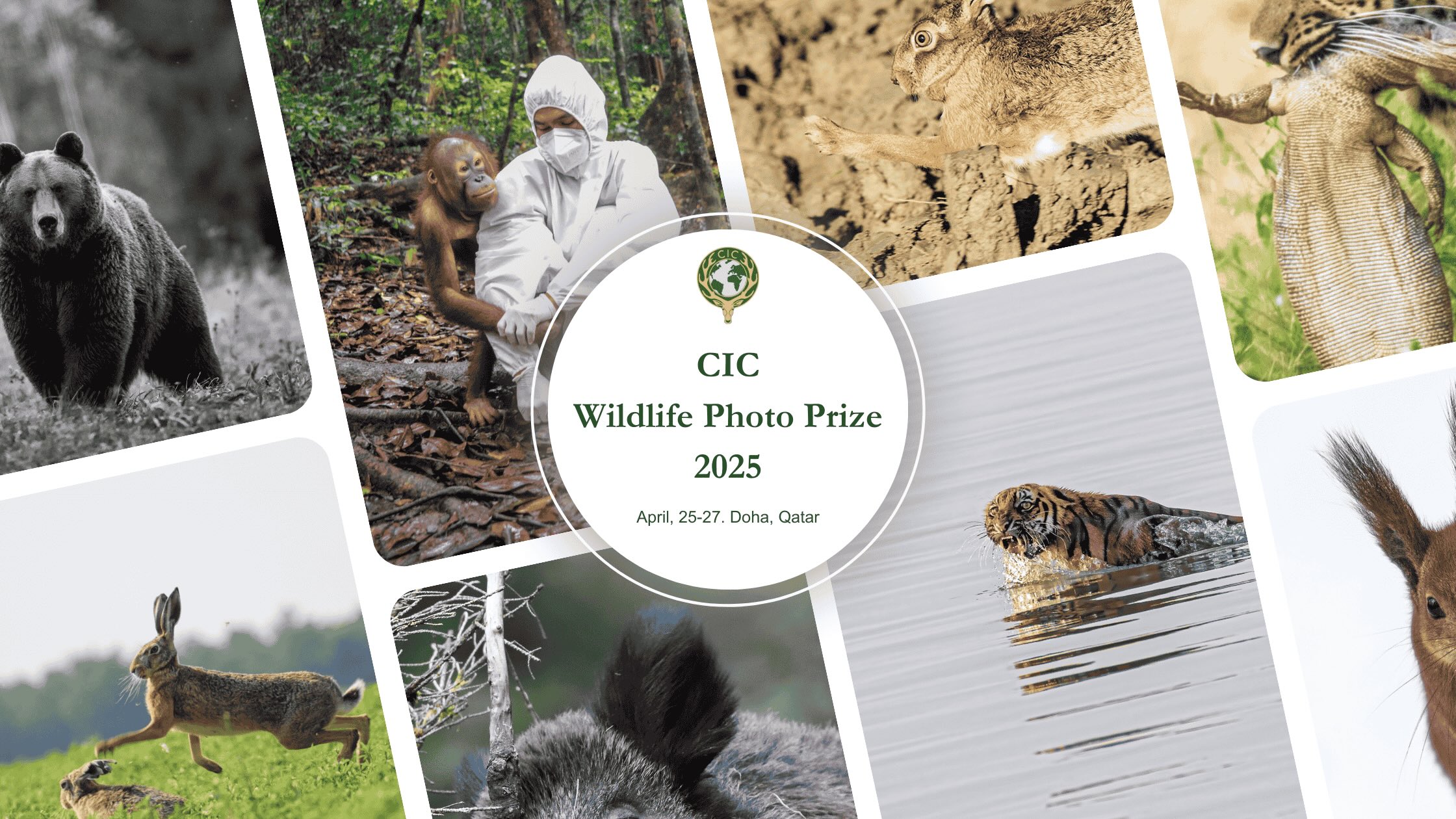 Call for Submissions – CIC Wildlife Photo Prize 2025 - CIC ...