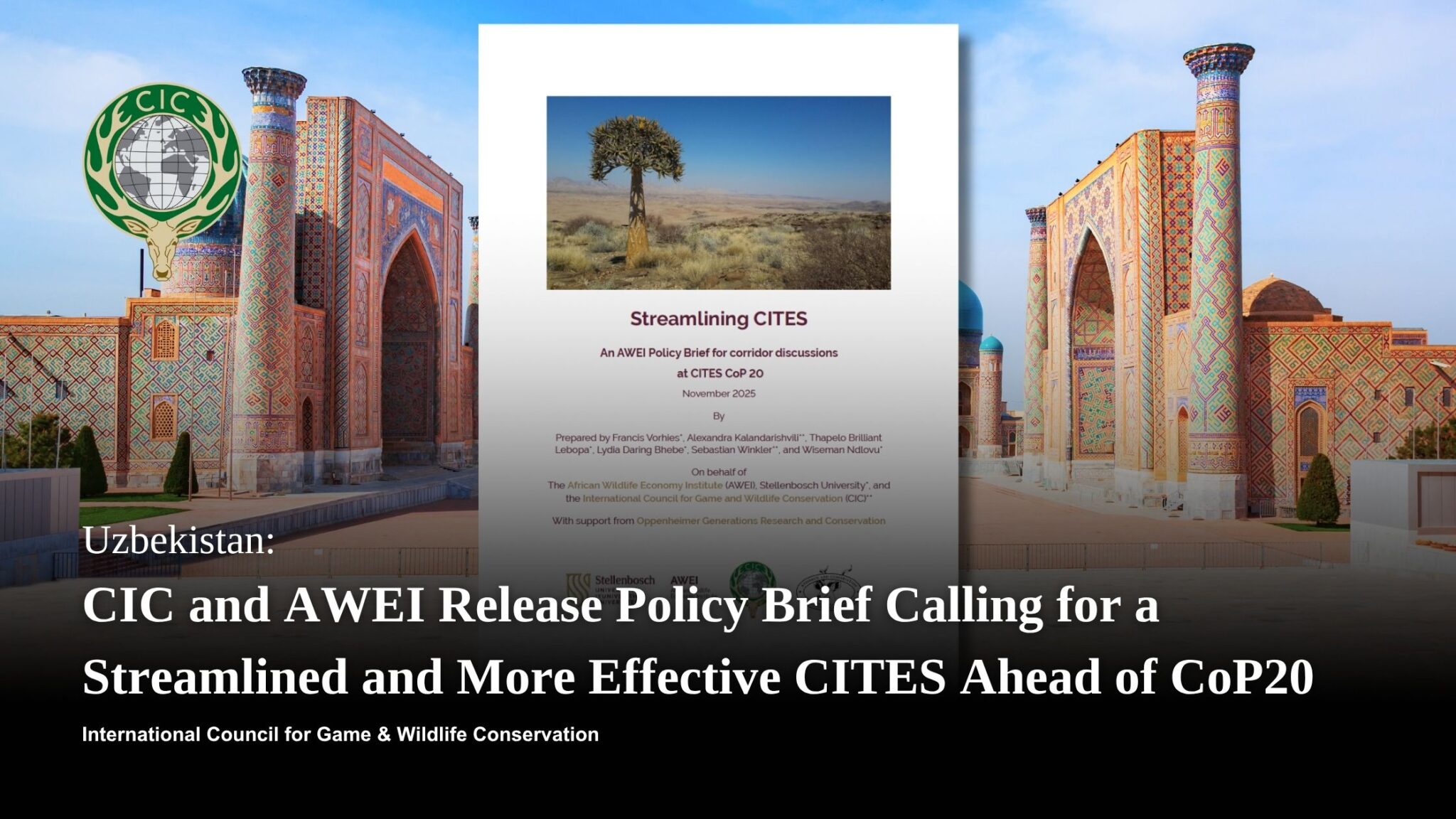 CIC and AWEI Release Policy Brief Calling for a Streamlined and More ...